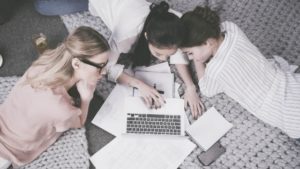 CNaVT - certyfikat języka niderlandzkiego - co warto o nim wiedzieć